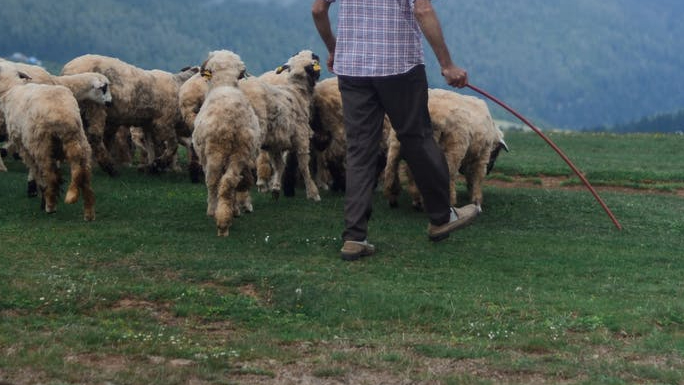 Psalm 119:89-96 | ל Lamedh – tanyaremkiv